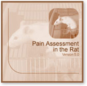 Pain Assessment In the Rat