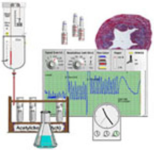 Virtual Physiology: SimVessel