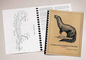Guide to the Dissection of the Mink