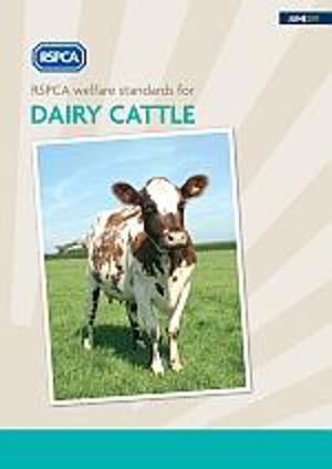 RSPCA welfare standards for Dairy Cattle