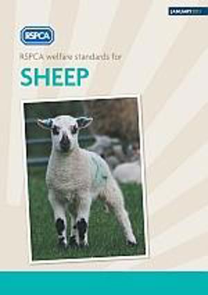 RSPCA welfare standards for sheep