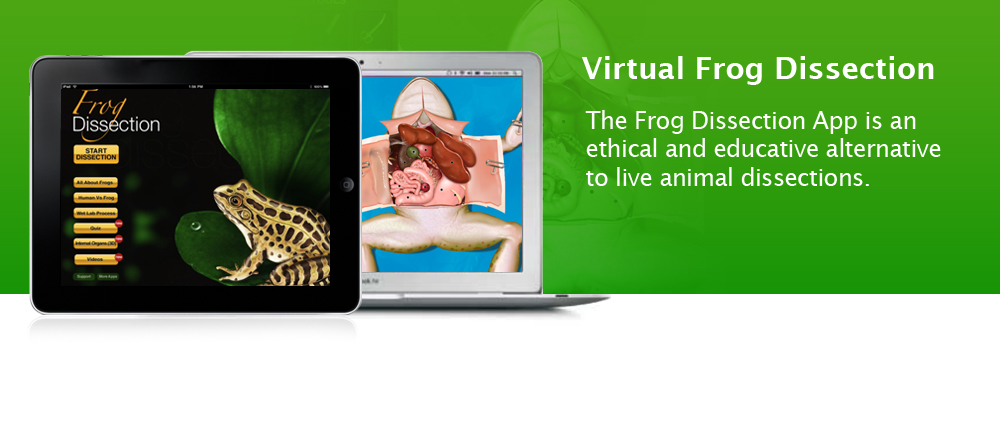 Virtual Frog Dissection Worksheet Answers Forceloced