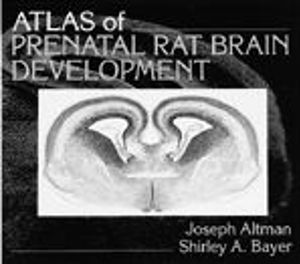 Atlas of Prenatal Rat Brain Development
