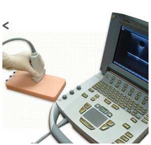 Venipuncture Pad with Nerves