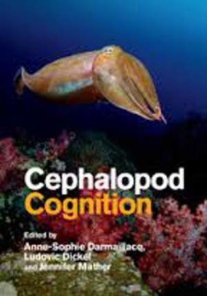 Cephalopod Cognition