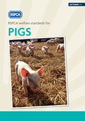 The RSPCA welfare standards for pigs