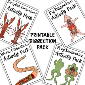 Printable Dissection Pack
