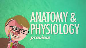 Hank Green's Anatomy & Physiology Crash Course (YouTube)